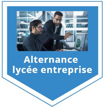 Bac pro Assistance à la gestion des organisations et de leurs activités (AGOrA) | ECONOMIE ...